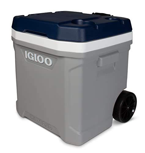 Igloo Maxcold 40-100 Qt Commercially Insulated Coolers – Mega Mart Center